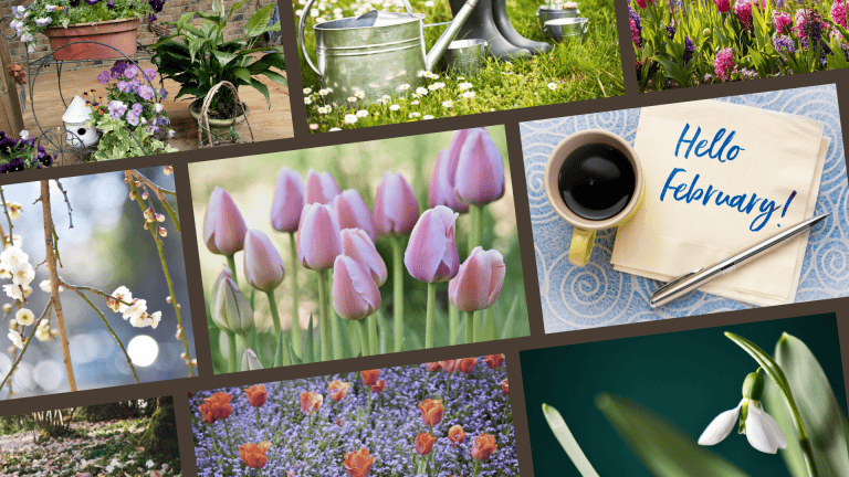 Gardening in February: A Month of Preparation and Planning | RHSI