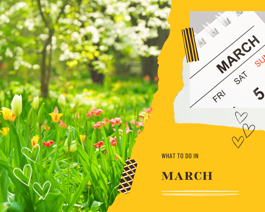 Gardening in March: what to do | RHSI